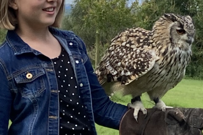 Book an Experience | Falconry Days Northumberland